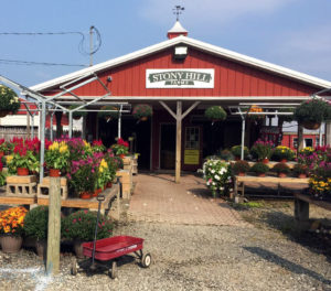 Stony Hill Farms (Chester, NJ) Farm Market, U-Pick, Fun Park, & Gardens